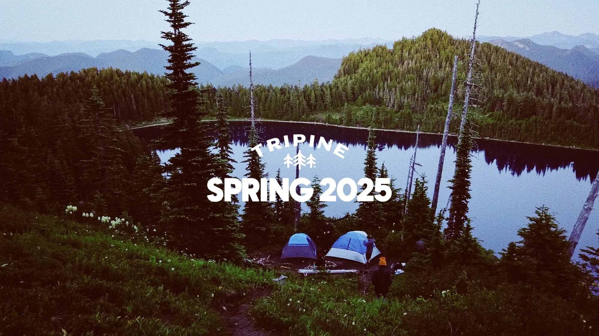 Spring 2025
