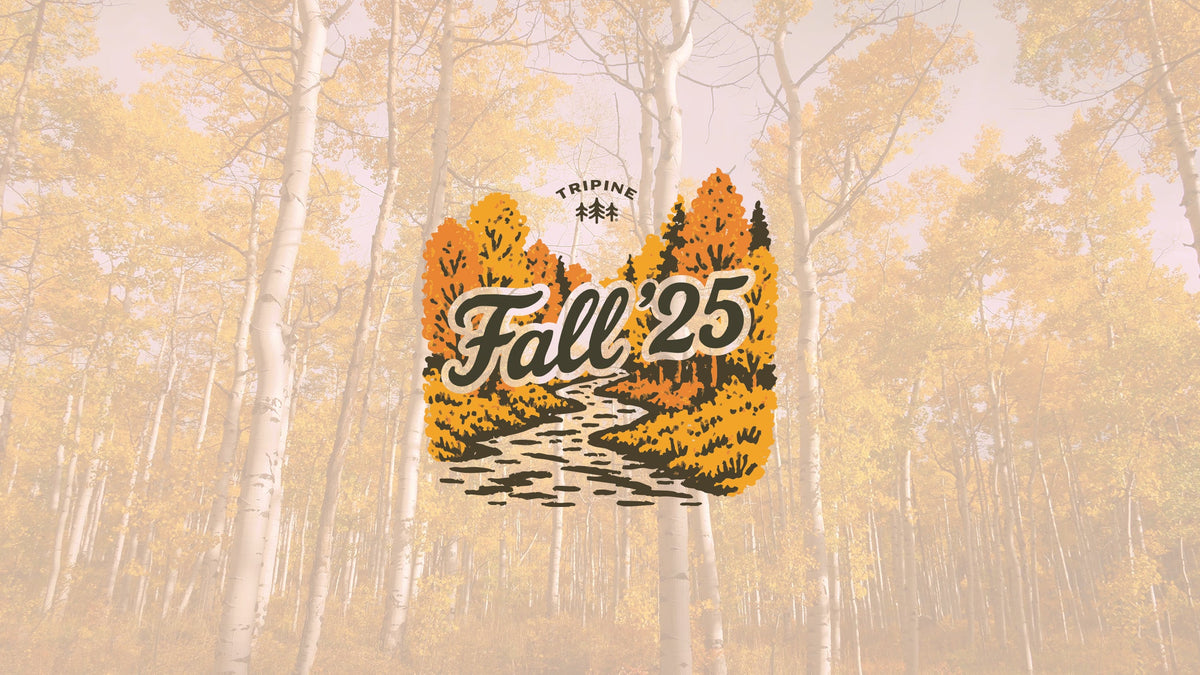 Fall 2025